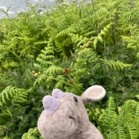 Poem of the Month – Sue Finch