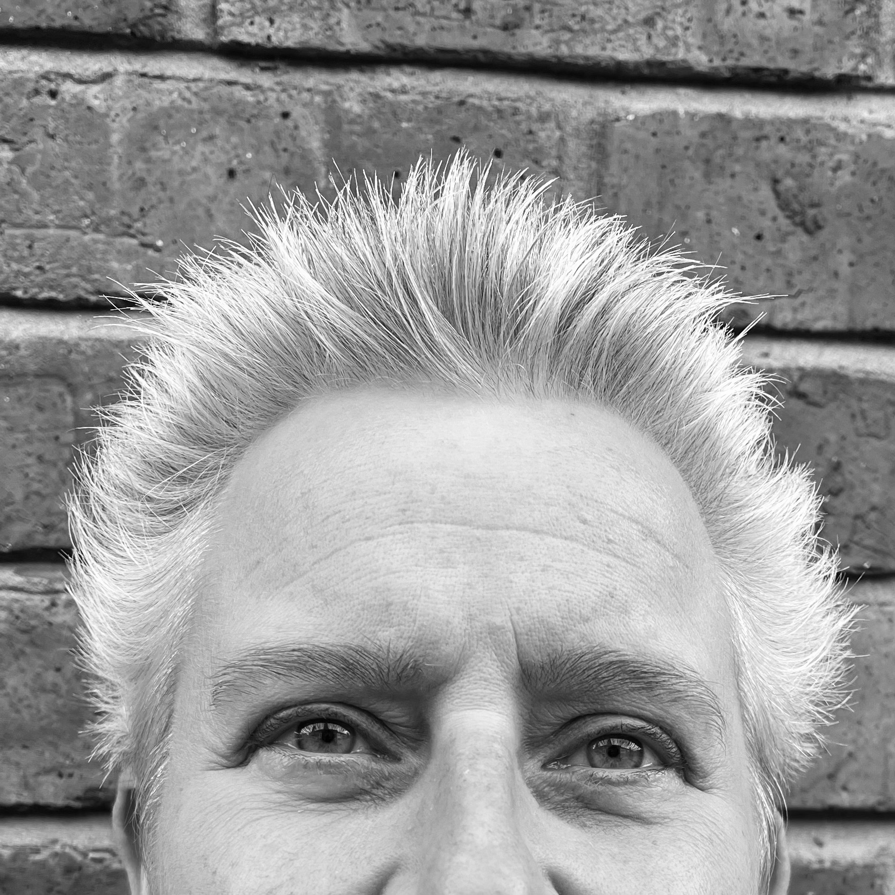FOCUSING – Sue Finch