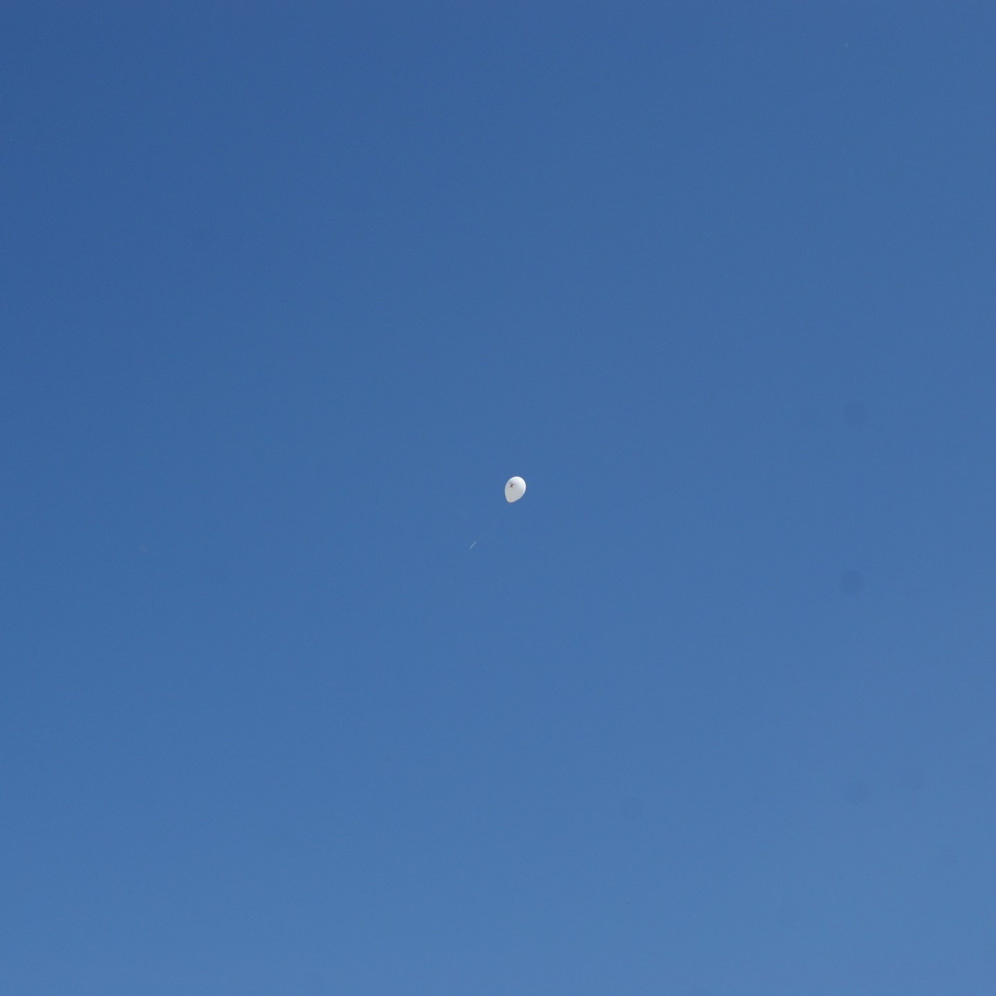 THE MOON POEMS ARE WAXING LYRICAL – Sue Finch